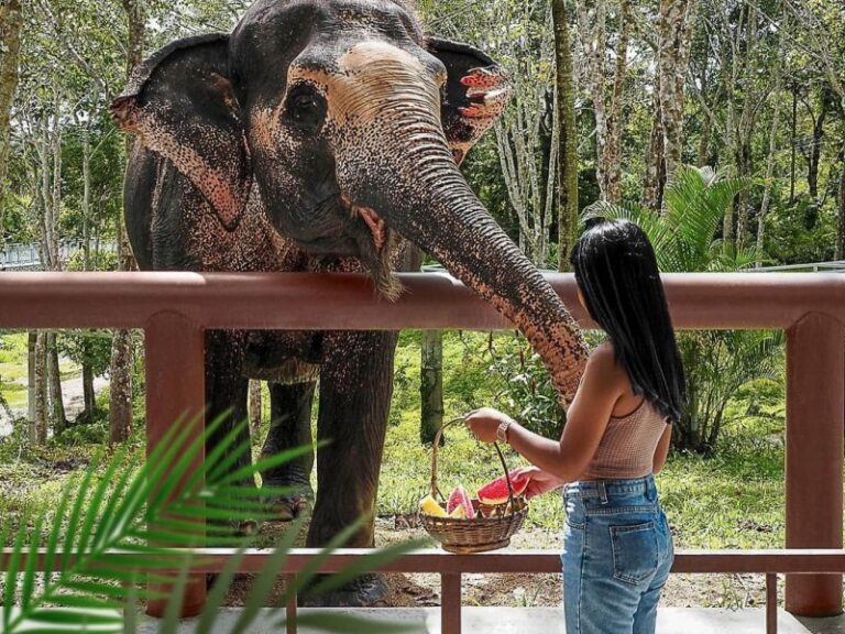 Elephant Sanctuary Phuket, Thailand | Siam Niramit Phuket
